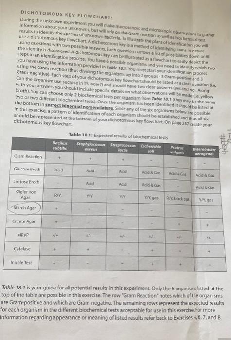 Solved DICHOTOMOUS KEY FLOWCHART; During the unknown | Chegg.com