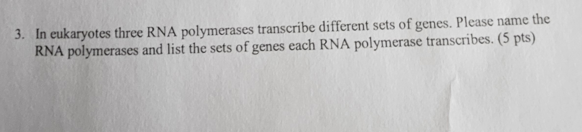 Solved In eukaryotes three RNA polymerases transcribe | Chegg.com