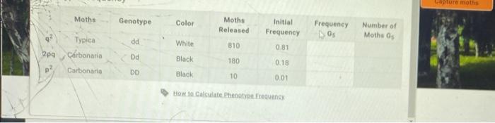 Solved Natural Selection Natural Selection In Insects