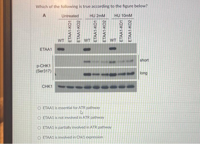 Solved Which of the following is true according to the | Chegg.com