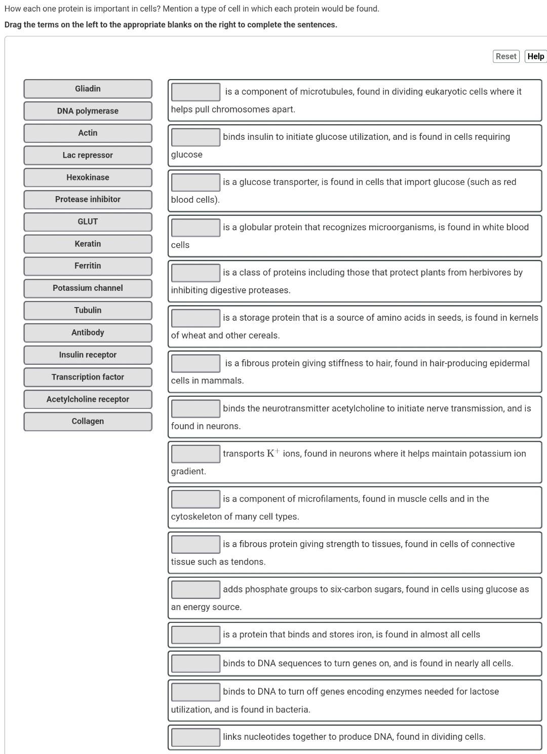 Solved How each one protein is important in cells? Mention a | Chegg.com
