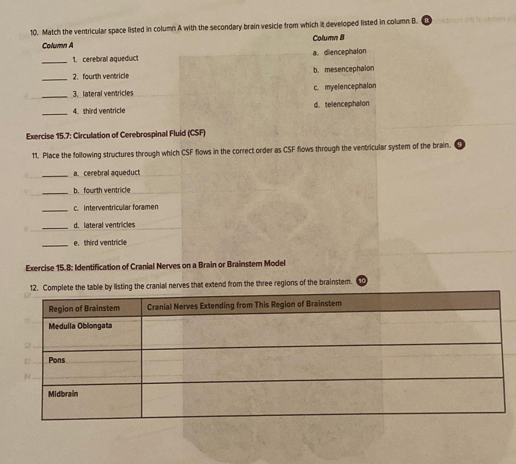 Solved Match the ventricular space listed in column A with | Chegg.com