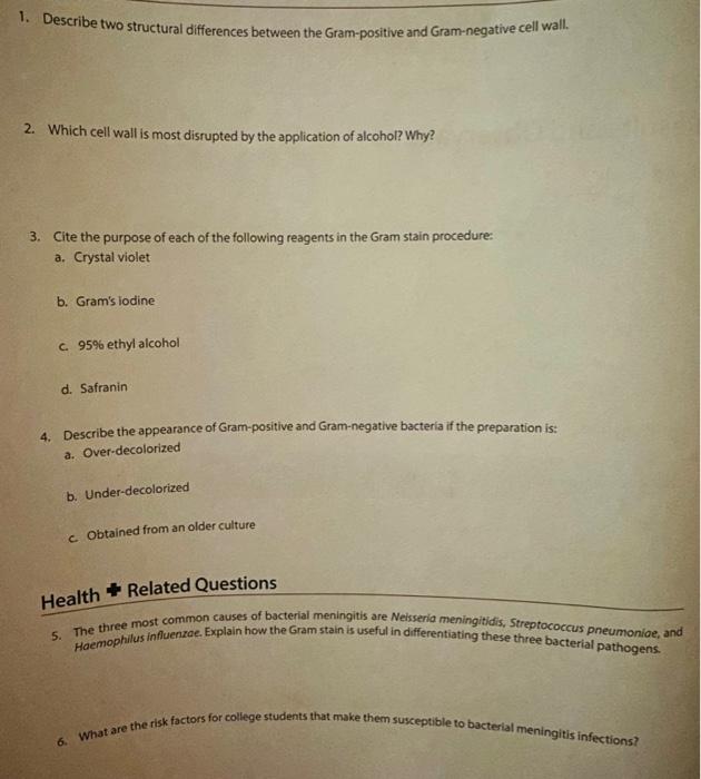 Solved 1. Describe two structural differences between the | Chegg.com