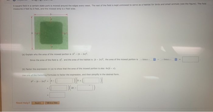 Solved A square field in a certain state park is mowed | Chegg.com
