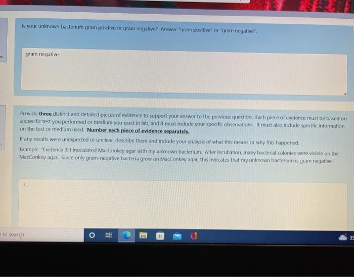 Solved Bacterial Unknown Results Page Unknown Number: Gram | Chegg.com