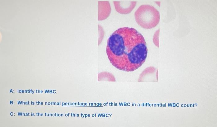 Solved A: Identify the WBC. B: What is the normal percentage | Chegg.com