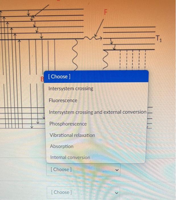 Solved Label the following Jablonski diagram: | Chegg.com