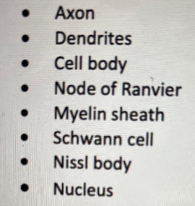 Solved - Axon - Dendrites - Cell body - Node of Ranvier - | Chegg.com
