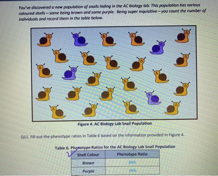 Solved You've discovered a new population of snails hiding | Chegg.com