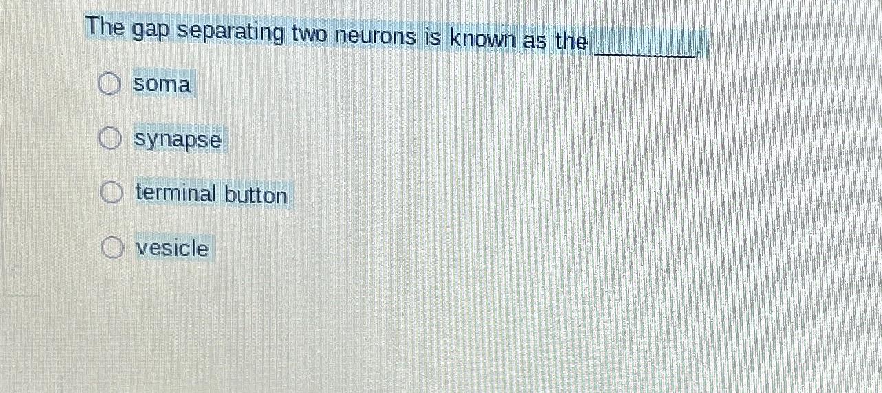 Solved The gap separating two neurons is known as | Chegg.com