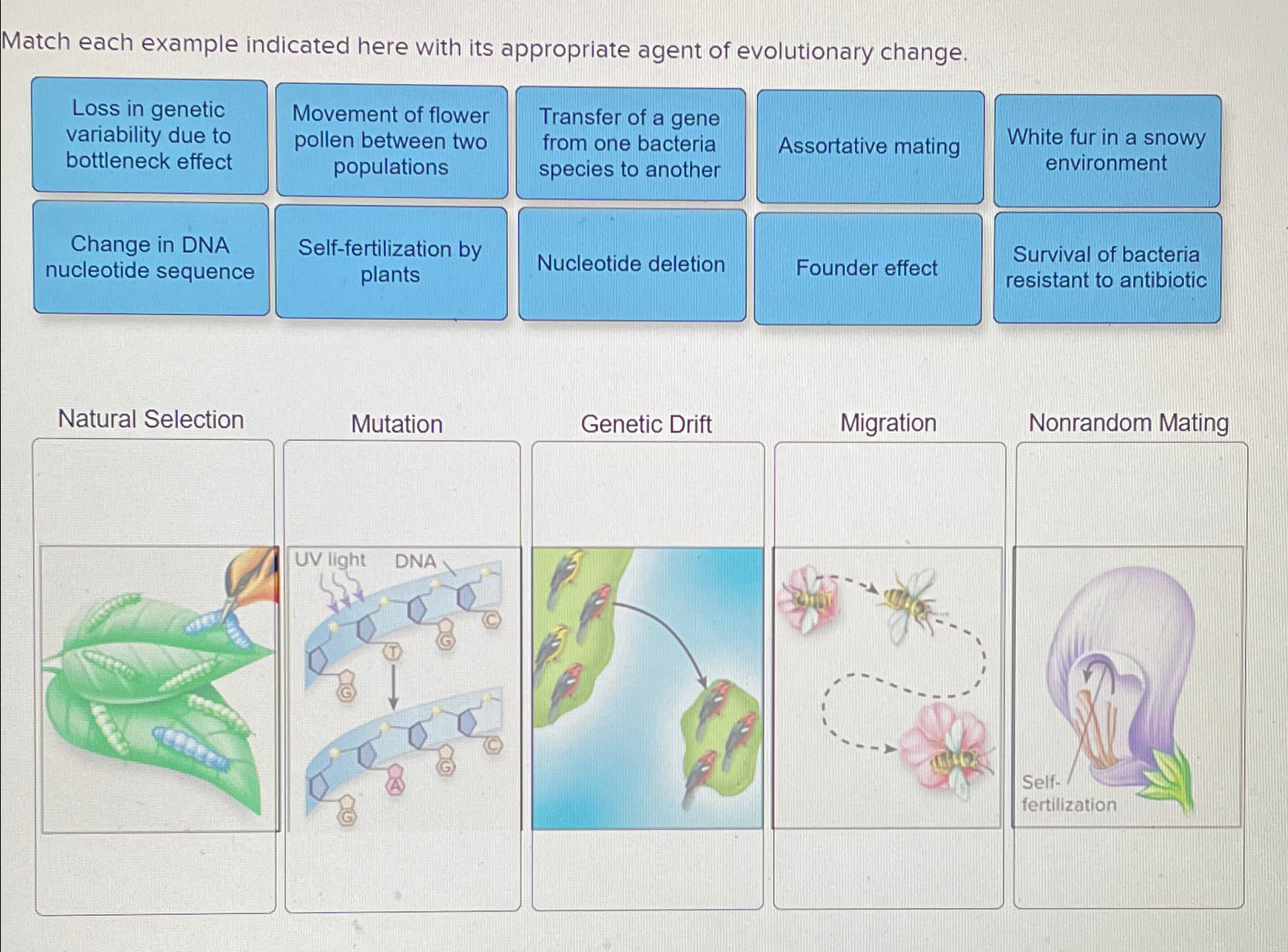 Solved Match each example indicated here with its | Chegg.com