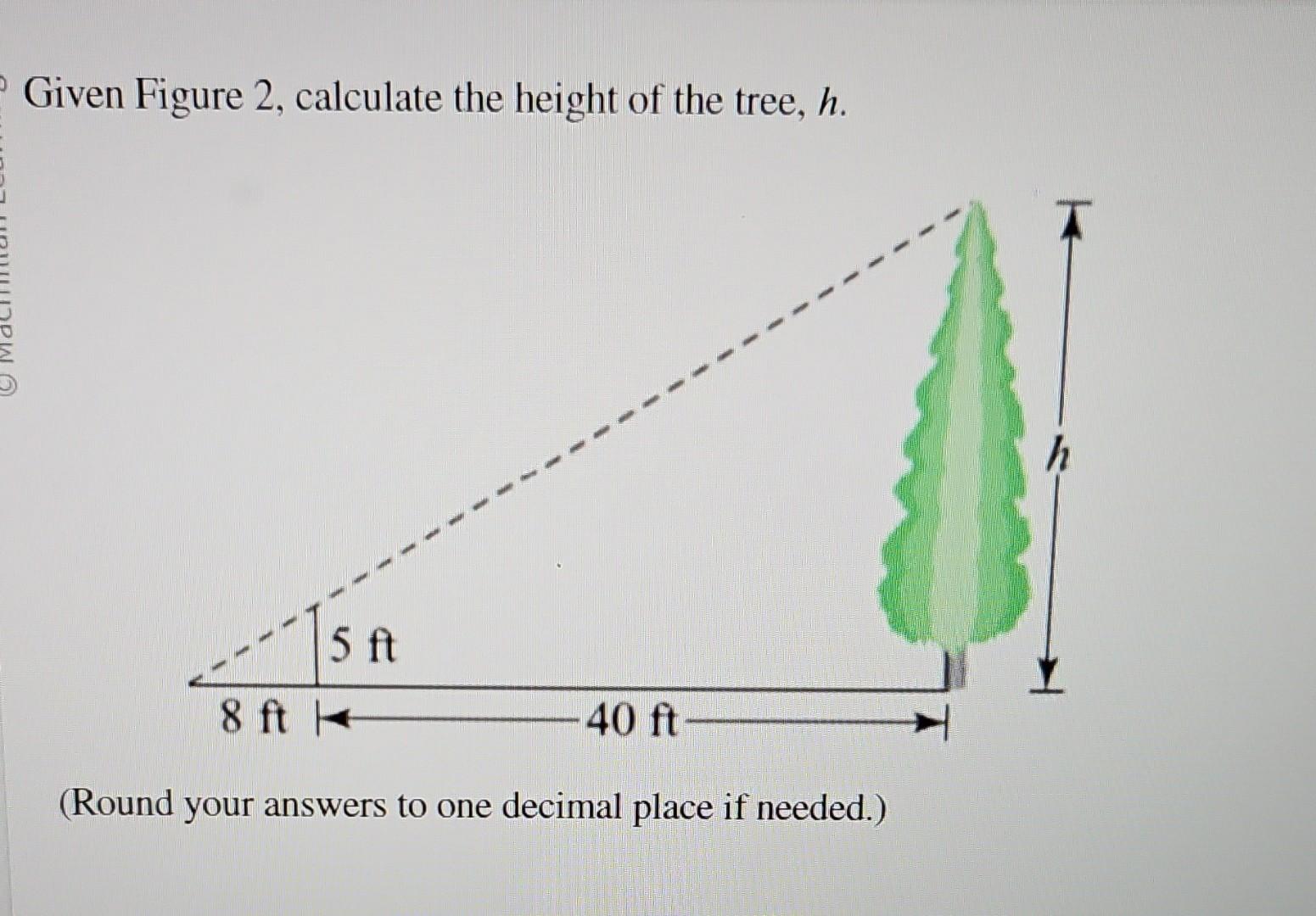 Solved Given Figure 2, calculate the height of the tree, h. | Chegg.com