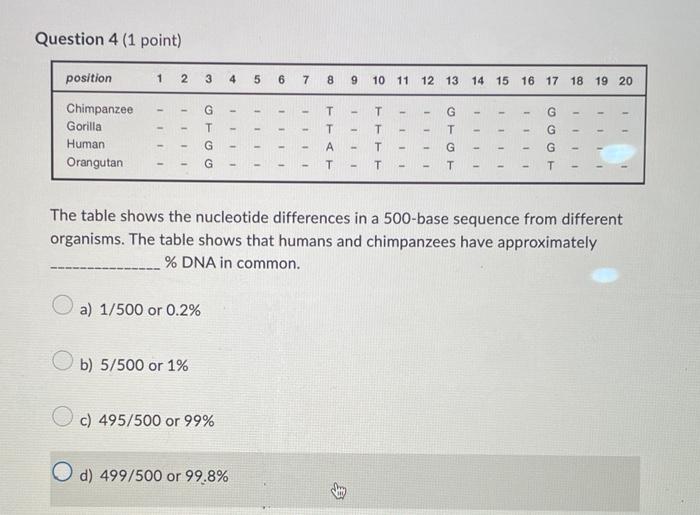 Solved Question 4 (1 point) The table shows the nucleotide | Chegg.com