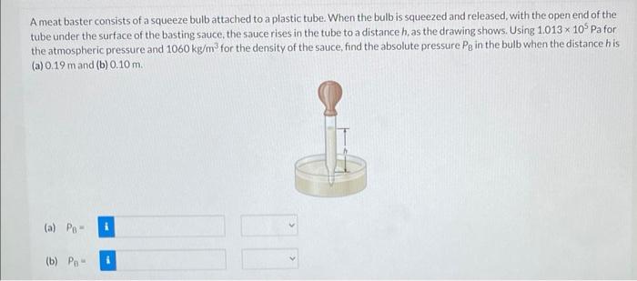 Solved A meat baster consists of a squeeze bulb attached to | Chegg.com
