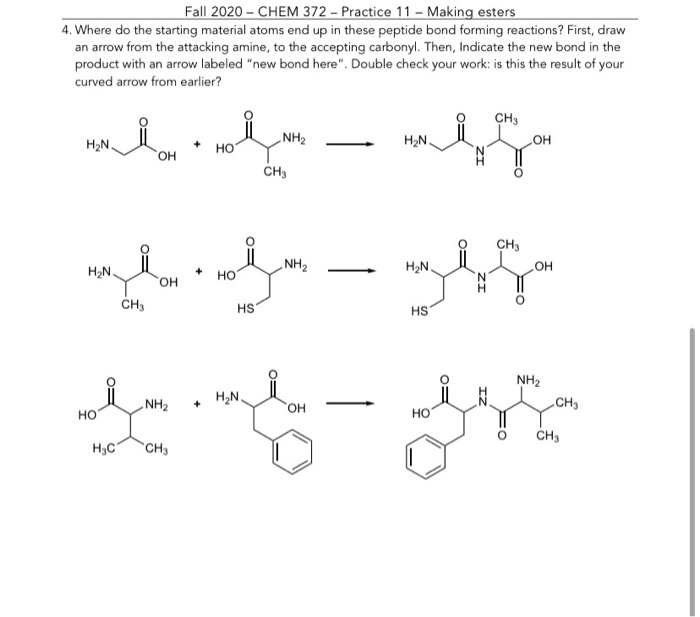 Solved Fall 2020 - CHEM 372 - Practice 11 - Making esters 4. | Chegg.com