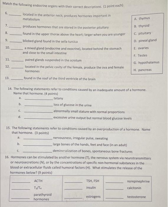 Solved Match the following endocrine organs with their | Chegg.com