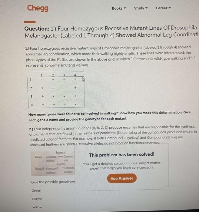 Solved Question: 1.) Four Homozygous Recessive Mutant Lines | Chegg.com