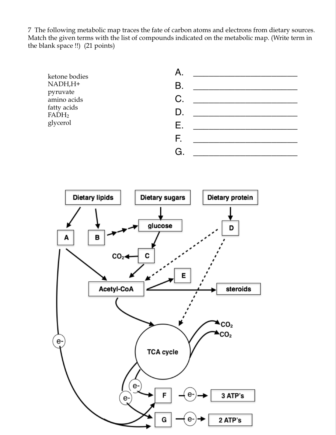 Solved Help please!! ﻿The following metabolic map traces the | Chegg.com
