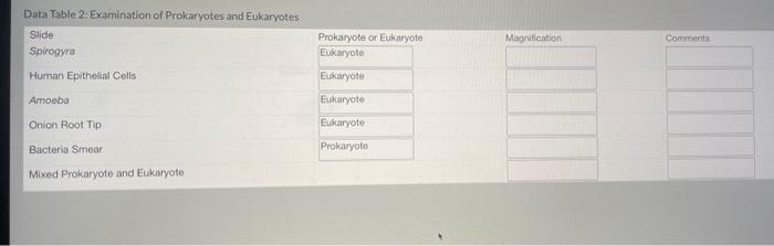 Solved Data Table 2: Examination of Prokaryotes and | Chegg.com