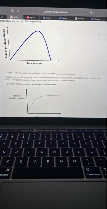 Solved I dont know how to put these words into the right | Chegg.com