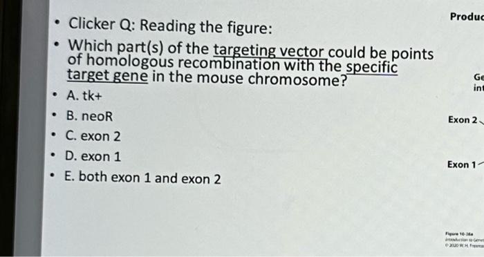 Solved - Clicker Q: The activity of reverse transcriptase is | Chegg.com