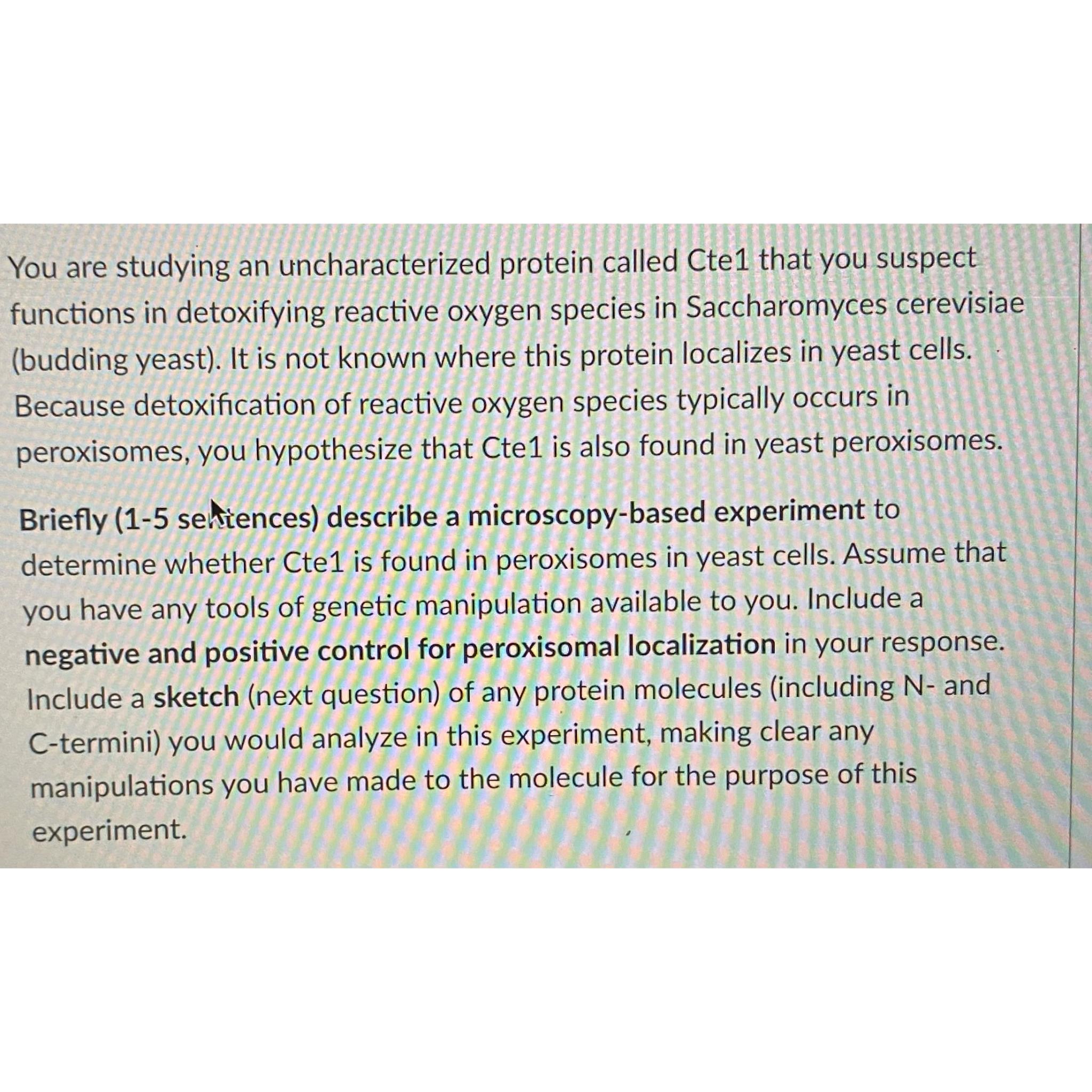 Solved You are studying an uncharacterized protein called | Chegg.com