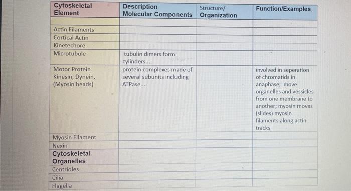 Solved Cytoskeletal Element Description Structure/ Molecular | Chegg.com