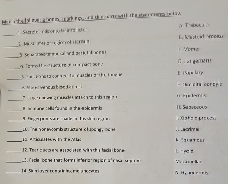 Solved Match the following bones, markings, and skin parts | Chegg.com