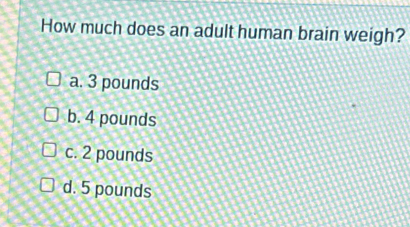 Solved How much does an adult human brain weigh?a. 3 | Chegg.com
