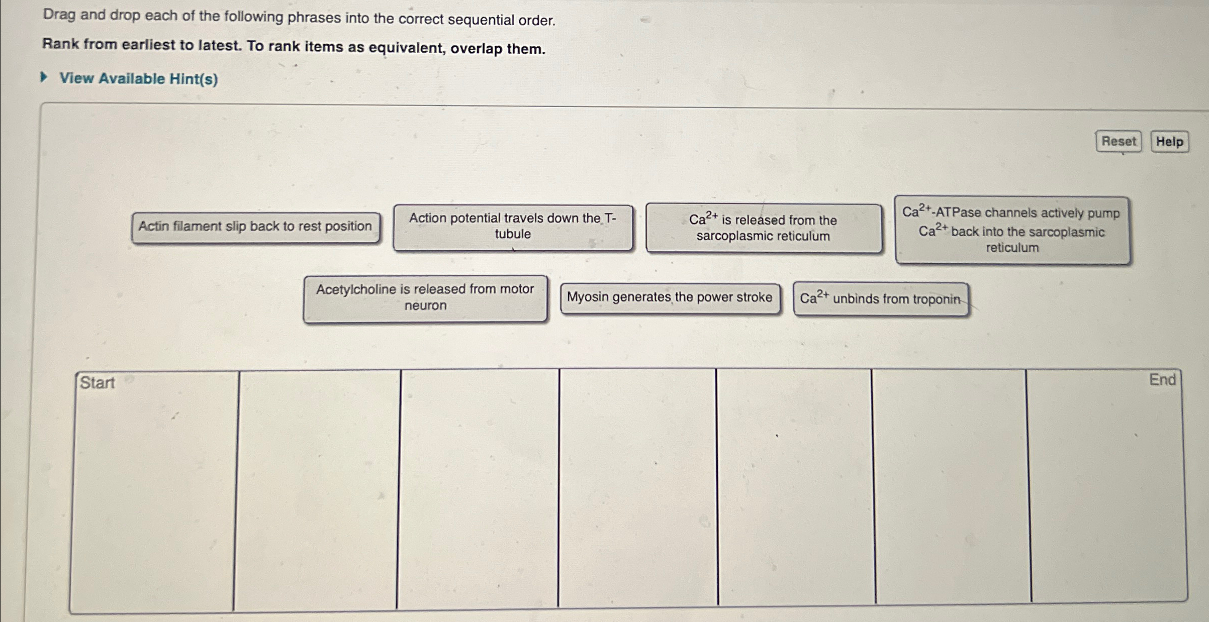 Solved Drag and drop each of the following phrases into the | Chegg.com
