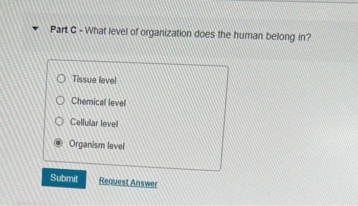 Solved Part C - What level of organization does the human | Chegg.com