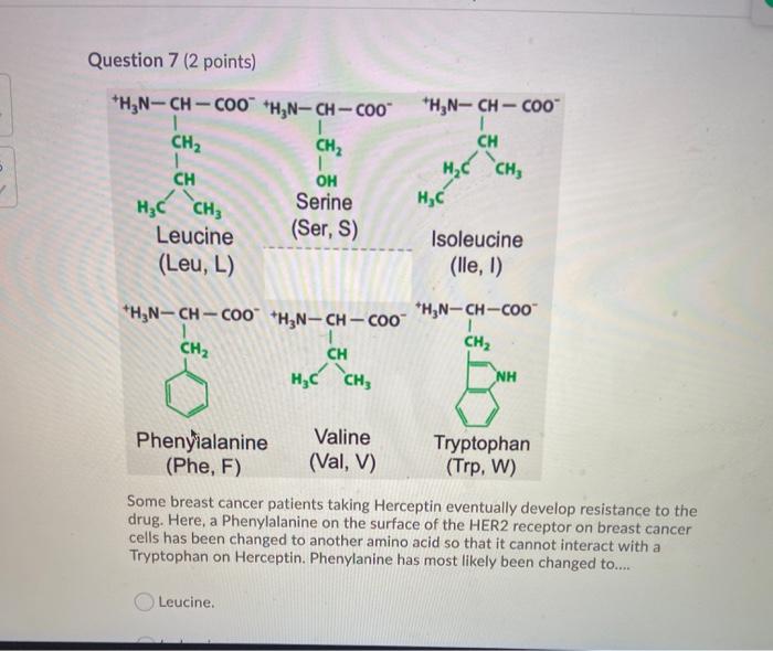 Solved Question 7 (2 points) *H2N-CH-COOH,N-CH-C00 1 CH2 CH2 | Chegg.com