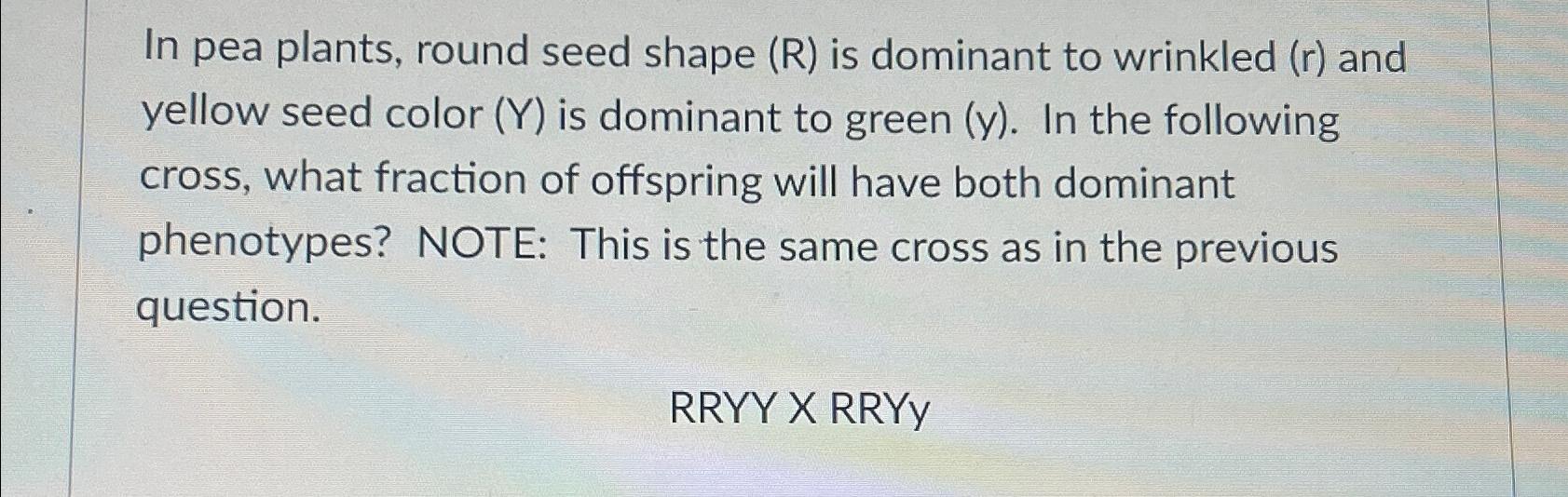 Solved In pea plants, round seed shape ( R ) ﻿is dominant to | Chegg.com