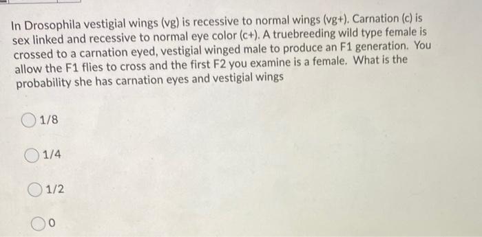 Solved In Drosophila vestigial wings (vg) is recessive to | Chegg.com