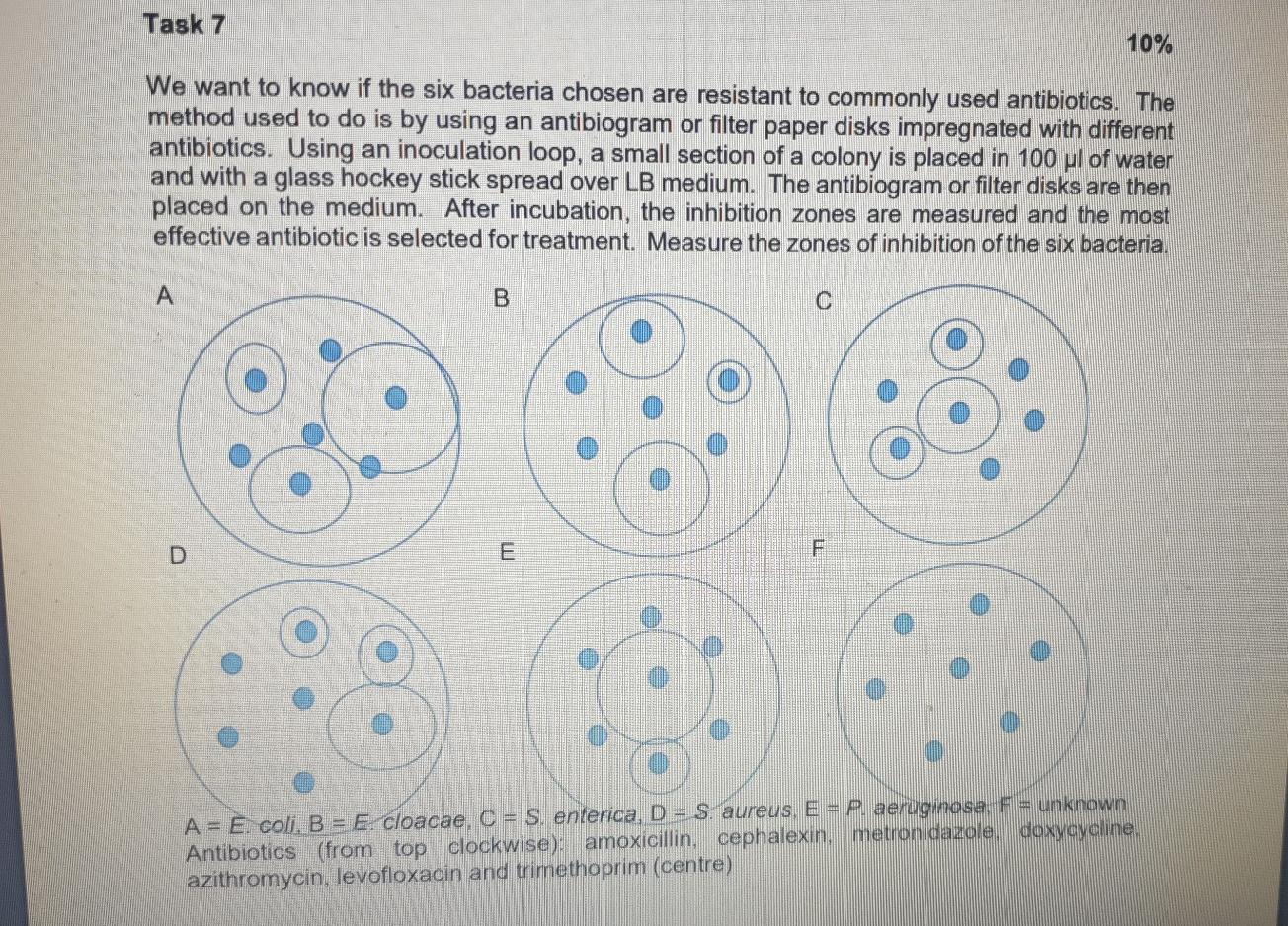 Solved Task 7 10% We want to know if the six bacteria chosen | Chegg.com