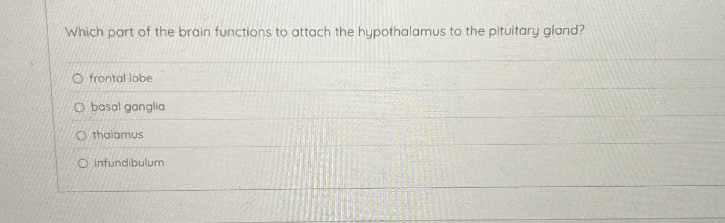 Solved Which part of the brain functions to attach the | Chegg.com