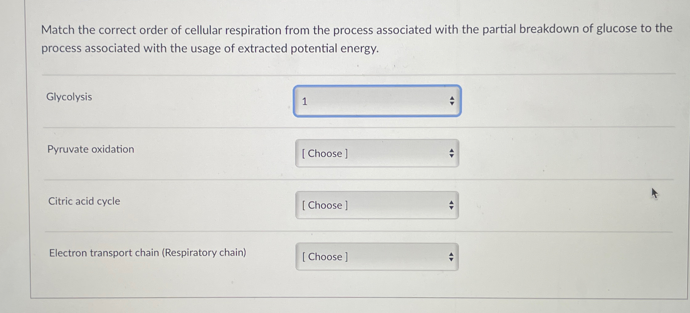 Solved Match the correct order of cellular respiration from | Chegg.com