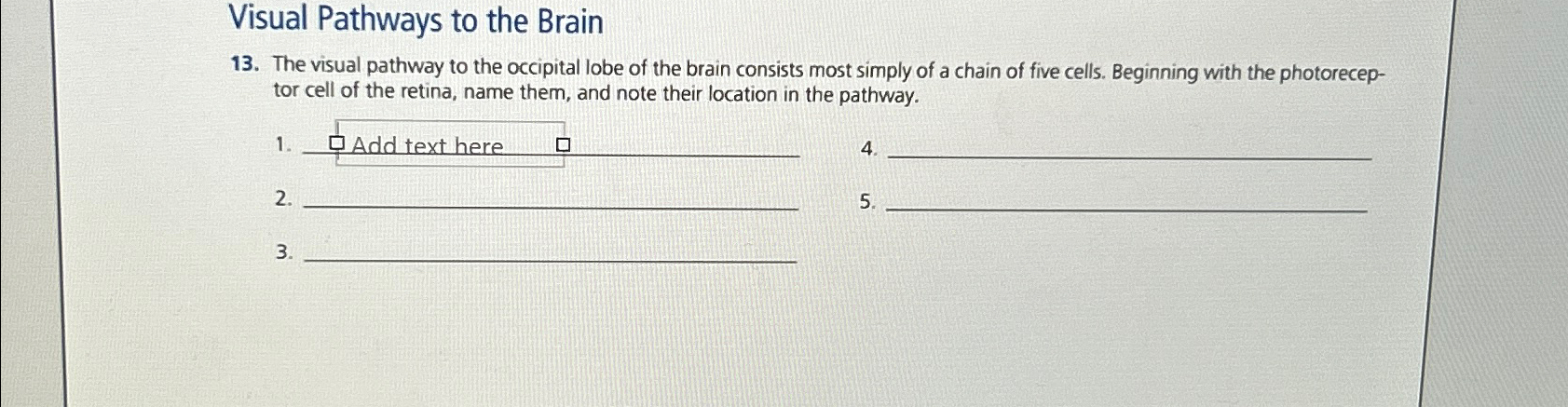 Solved Visual Pathways to the Brain13. ﻿The visual pathway | Chegg.com