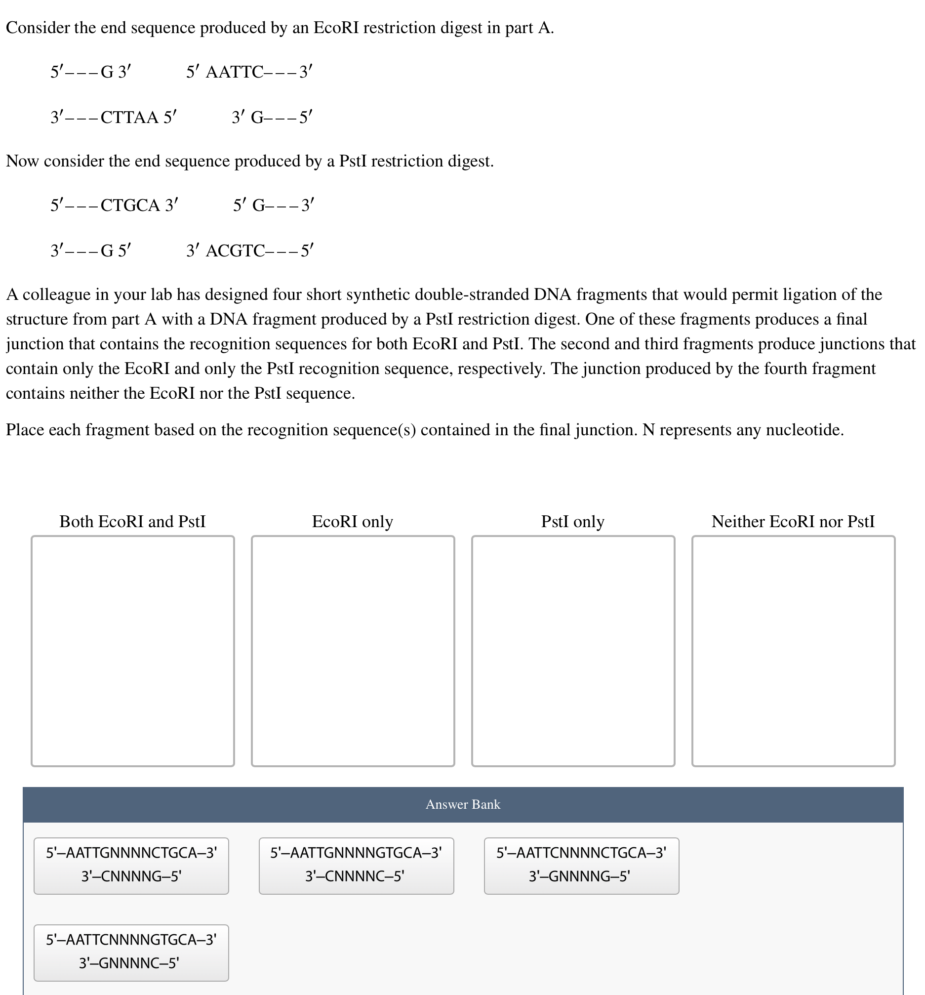 Solved Consider the end sequence produced by an EcoRI | Chegg.com