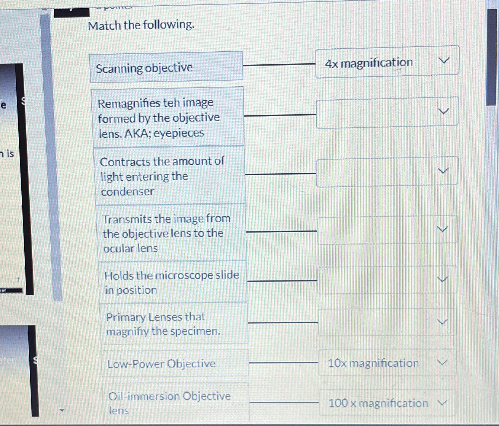 Solved Match the following.Scanning objectiveRemagnifies teh | Chegg.com