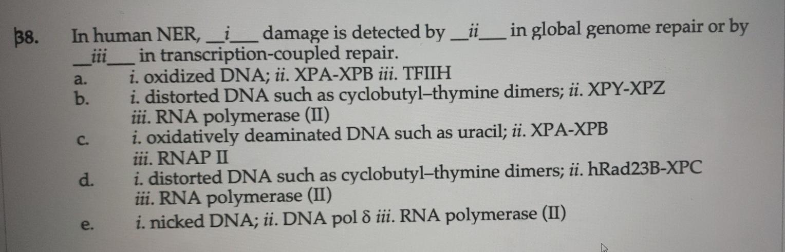 Solved 38. a. In human NER, _i_damage is detected by _ii_in | Chegg.com