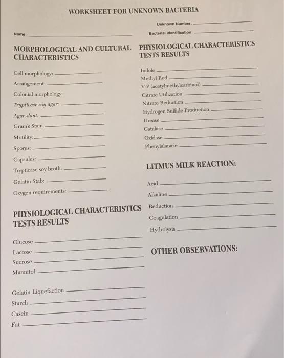 Solved WORKSHEET FOR UNKNOWN BACTERIA Unknown Number Name | Chegg.com