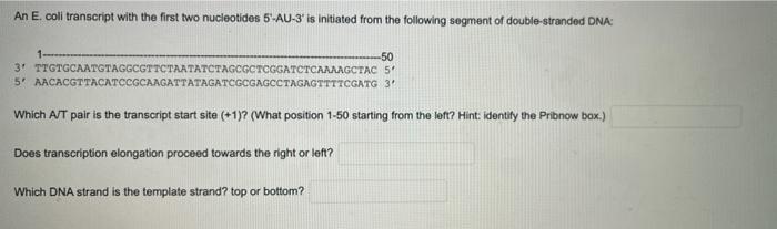 Solved An E.coli transcript with the first two nucleotides | Chegg.com