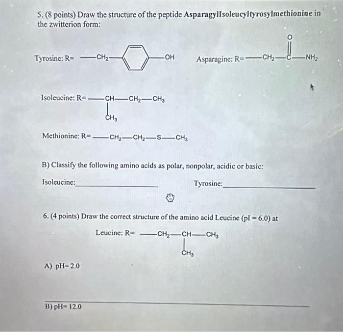 Solved 5. ( 8 points) Draw the structure of the peptide | Chegg.com