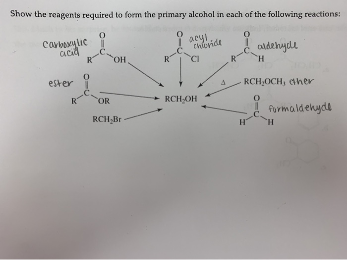 Solved Show the reagents required to form the primary | Chegg.com