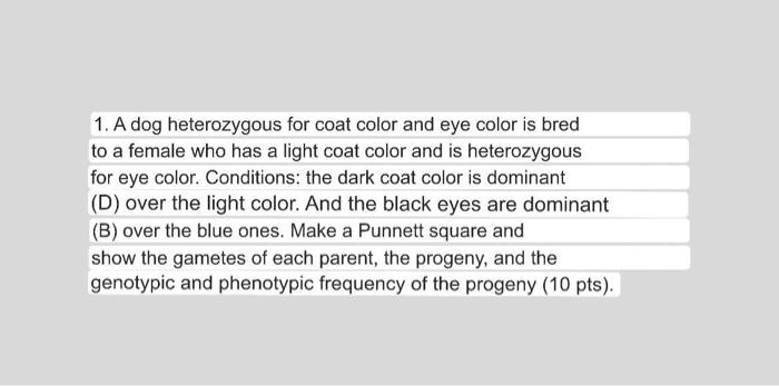 Solved 1. A dog heterozygous for coat color and eye color is | Chegg.com
