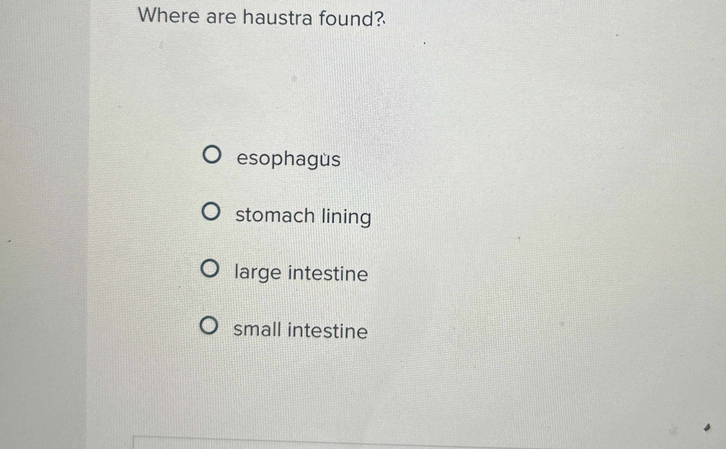 Solved Where are haustra found?esophagusstomach lininglarge | Chegg.com