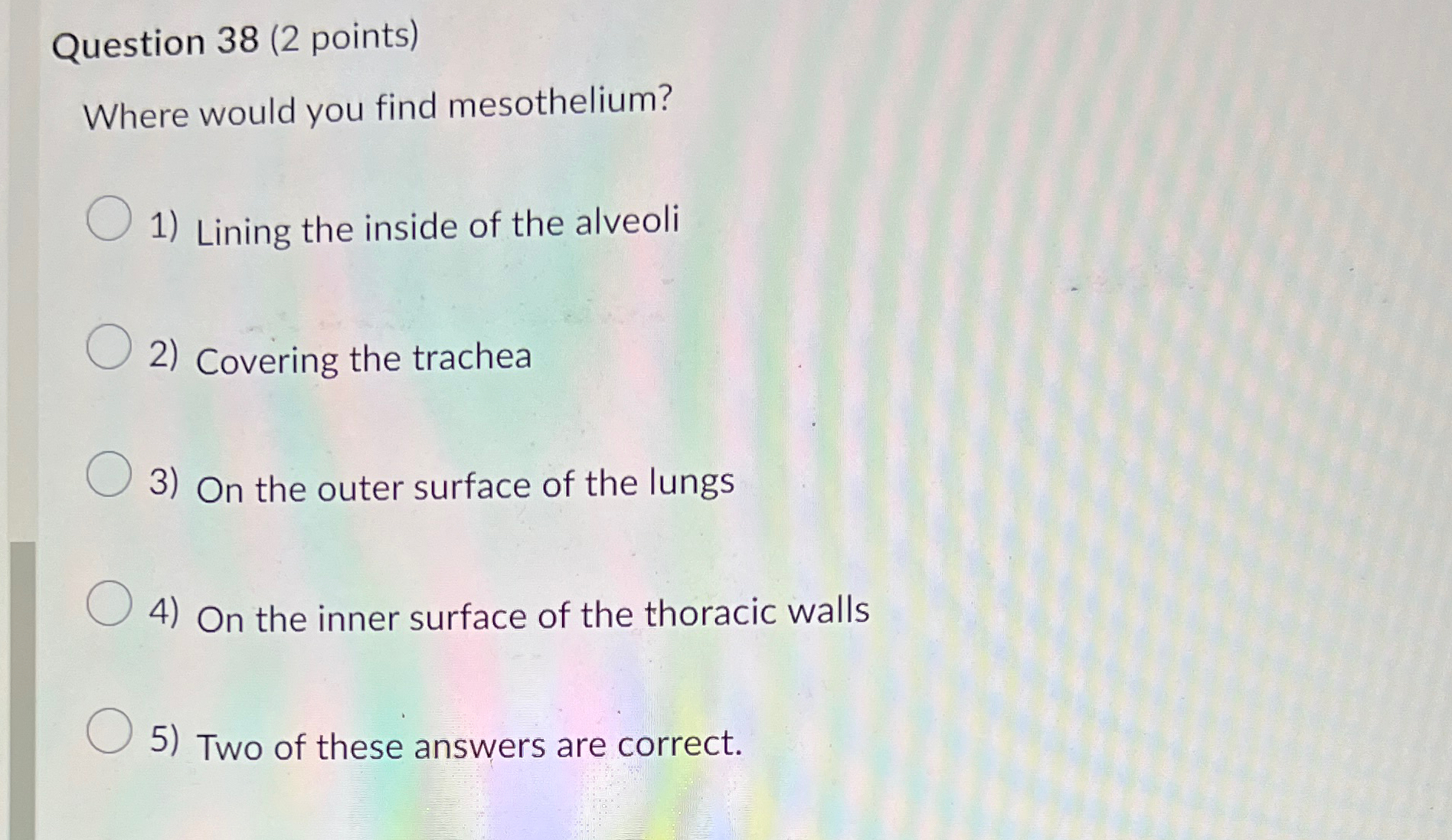Solved Question 38 (2 ﻿points)Where would you find | Chegg.com