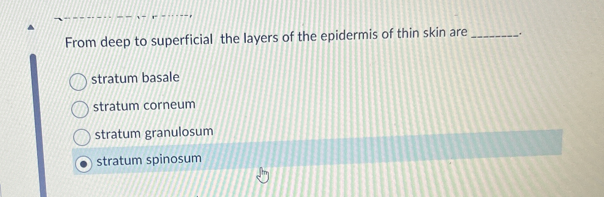 Solved From deep to superficial the layers of the epidermis | Chegg.com
