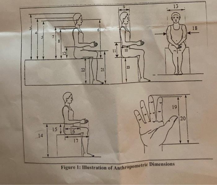 Q1: Analyze collected anthropometric dimensions | Chegg.com